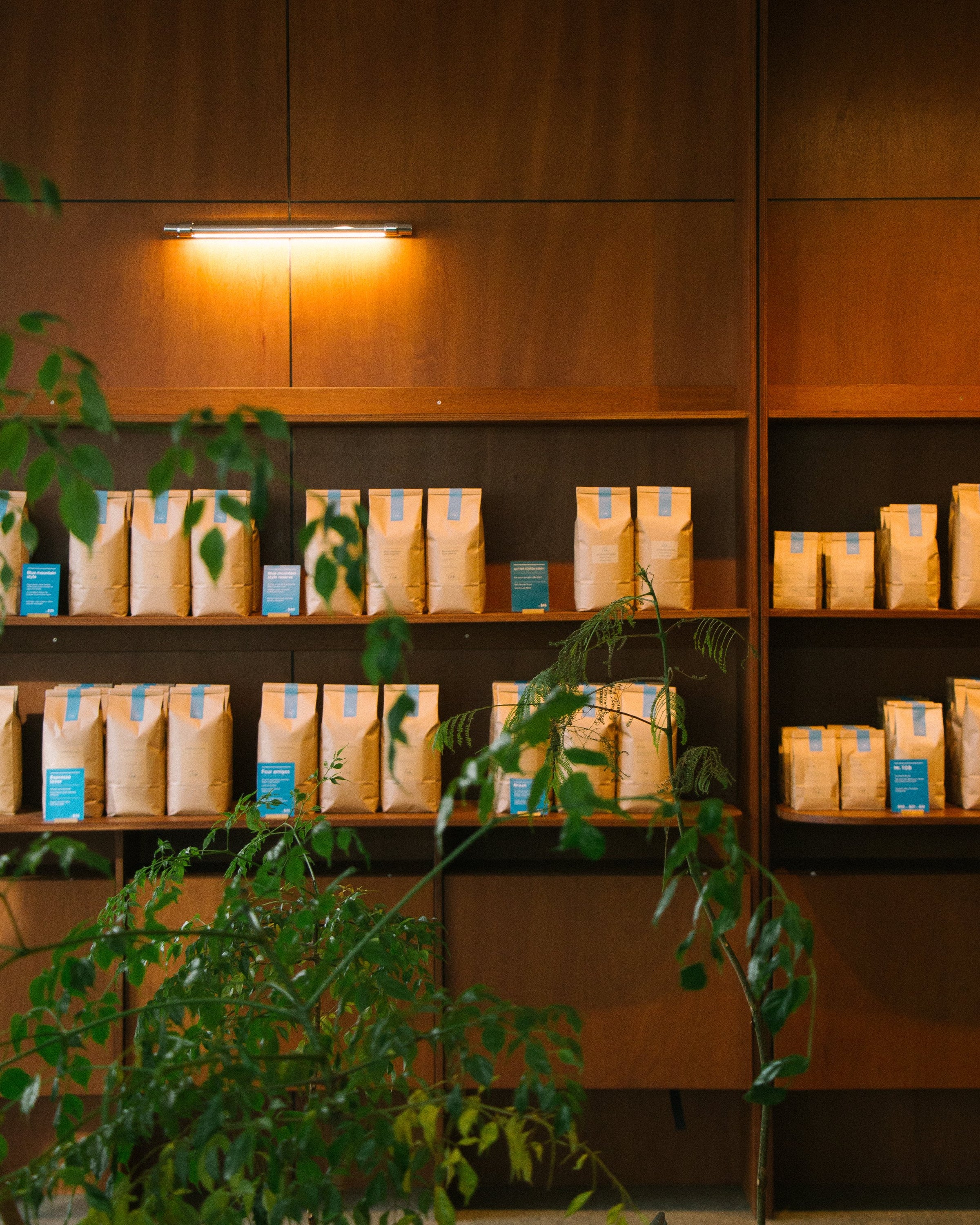 Buy Freshly Roasted Coffee Beans Online | TOB Coffee NZ