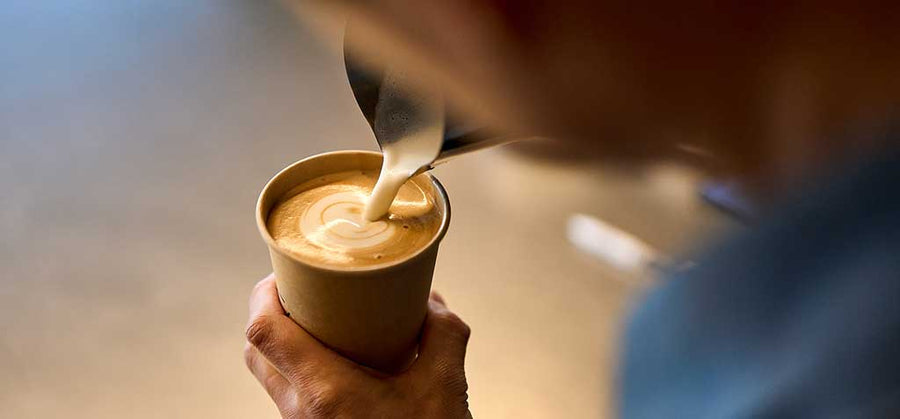 Drink Coffee - Tips by Tob Coffee – TOB Coffee